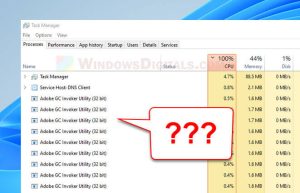 What is AGCInvokerUtility on Mac or Windows Startup