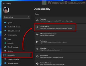 How to Remove Alt+Tab Blur Background in Windows 11