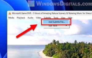 How to Merge Subtitles With Video Permanently Using VLC