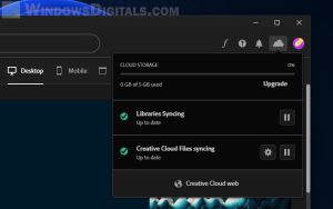 What is CCXProcess during Startup on Windows or Mac?