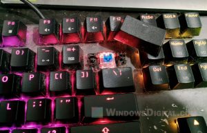 Backspace Key Not Working on Windows 11 (How to Fix)