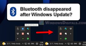 Bluetooth Disappeared after Windows 11/10 Update (Fix)
