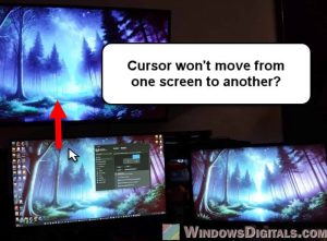 Can't Move Mouse From One Monitor to Another (Windows 11)