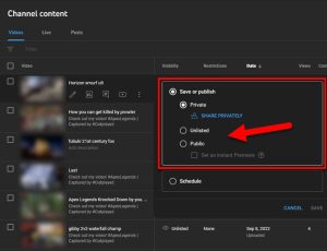 Why Can't You Watch Private Videos on YouTube?