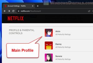 Can I Change or Delete the Main Profile on Netflix?