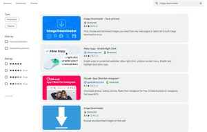 Shortcut for "Save image as" on Chrome or Windows 11