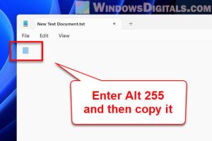 Remove Name (Text) From Desktop Icon in Windows 11/10