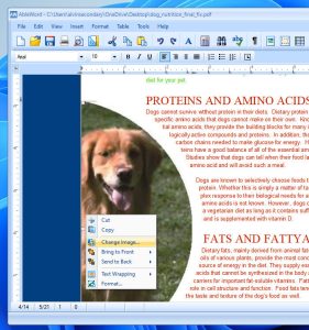 How to Edit PDF File for Free on Windows 11