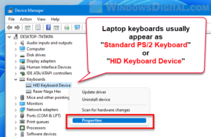How to Disable Laptop Keyboard Permanently in Windows 11