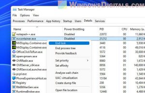 What is NVContainer.exe, Its Errors and Why is it Blocked
