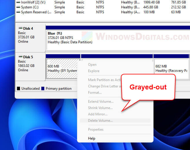 How To Delete Protected EFI System Partition In Windows 11