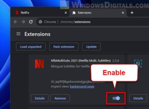 How to Watch Netflix with Dual Subtitles
