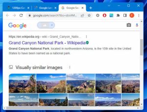 How to Google Reverse Image Search on Windows 11