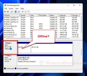 Hard Drive Doesn't Show Up After Clone in Windows 11