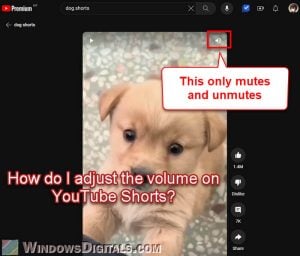 How To Adjust Volume Control On Youtube Shorts
