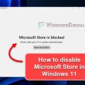 0x8D050003 Microsoft Store Error on Windows 11 or 10