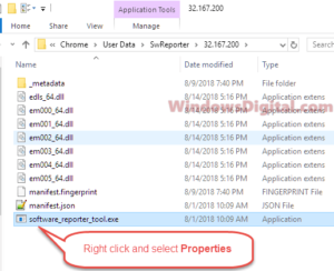 Disable Software_Reporter_Tool.exe (Chrome) Windows 10/11