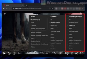 How to Watch Netflix with Dual Subtitles