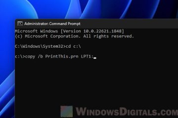 What Does "Print to File" Mean in Windows 11/10?