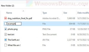 How to Change or Remove File Extension in Windows 11