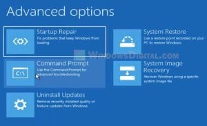 Windows 11: Recovery "Your PC needs to be repaired"