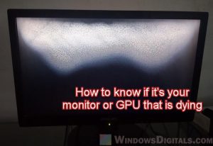 How to tell if it's your Monitor or GPU that is dying?