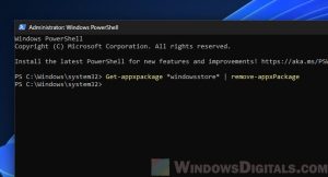 Disable Microsoft Store in Windows 11 Home or Pro (GPO)