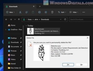 What is Detection.exe by Husdawg & Is it Safe or a Virus?