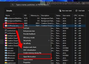 What is CCXProcess during Startup on Windows or Mac?