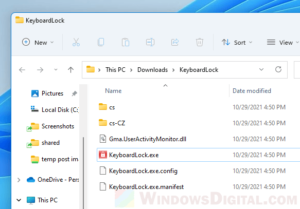 How to Lock Keyboard in Windows 11