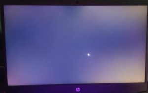 Bottom of Laptop Screen Glitching and Freezing
