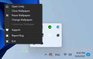 How to Set Animated Wallpaper in Windows 11