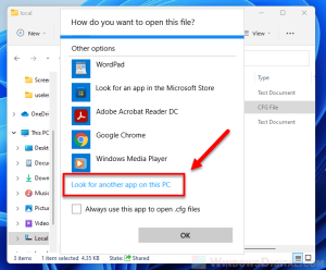 How to Open .CFG File in Windows 11
