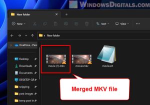 How to Merge SRT Subtitles with MKV using MKVToolNix