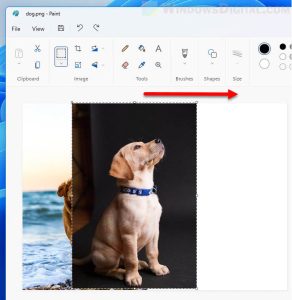 How to Put Two Pictures Side by Side in Windows 11
