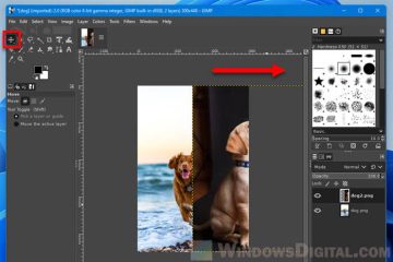 How to Put Two Pictures Side by Side in Windows 11