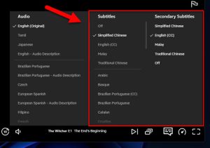 How to Watch Netflix with Dual Subtitles