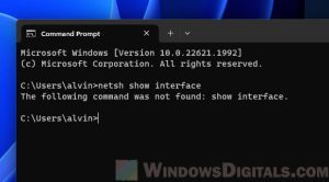 What is Netsh.exe & its Popup and Crashes in Windows 11