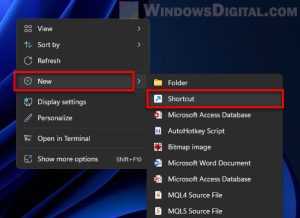 Windows 11 System Properties (Advanced System Settings)