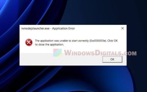 What is NVIDIA NodeJS Launcher and Share Window?
