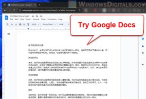 Notepad Chinese Characters Bug in Windows 11