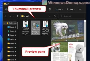 PDF Thumbnail and Preview Not Working in Windows 11