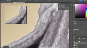 Tips for Removing Mosaic from a Picture or Video