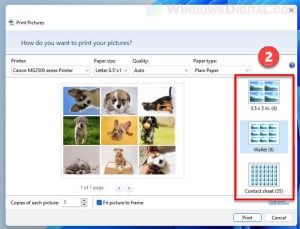 How to Print Multiple Photos on One Page in Windows 11