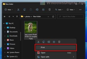 How to Print Multiple Photos on One Page in Windows 11