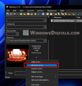 How to Remove Album Art From MP3 in Windows 11/10
