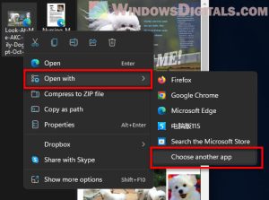 PDF Thumbnail and Preview Not Working in Windows 11
