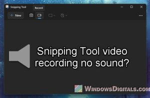 Snipping Tool No Sound in Video Recording (Win 11)