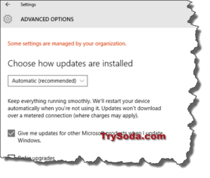 "Some settings are managed by your organization" Windows 11/10