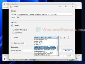 VLC could not open the mpga/mp4v/mp4a audio encoder
